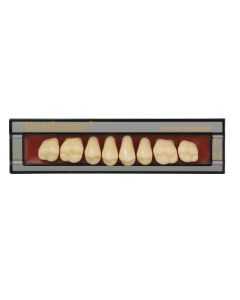 Ivostar | Tooth Express