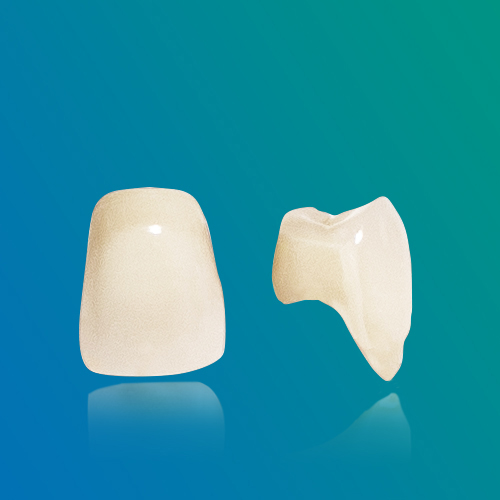 Tooth Express | Suppliers of Teeth and Tooth Products