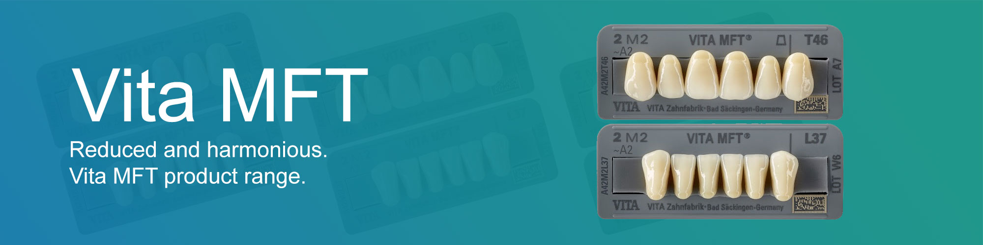 Tooth Express | Suppliers of Teeth and Tooth Products